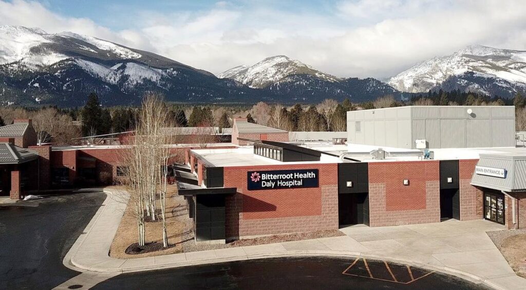 Bitterroot Health: Benefits And Uses For Wellness – Daily Health Mantra